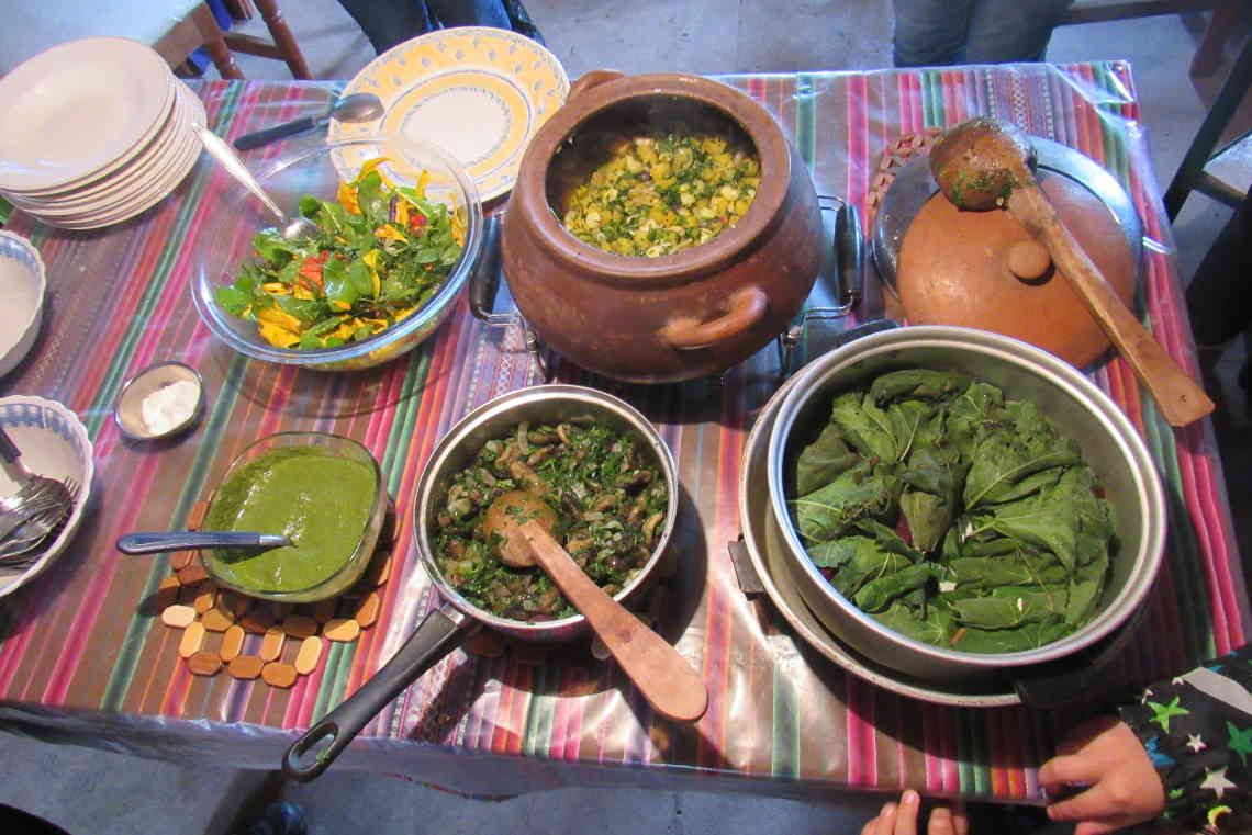 La comida silvestre, una alternativa para reforzar la nutrición | ritimo